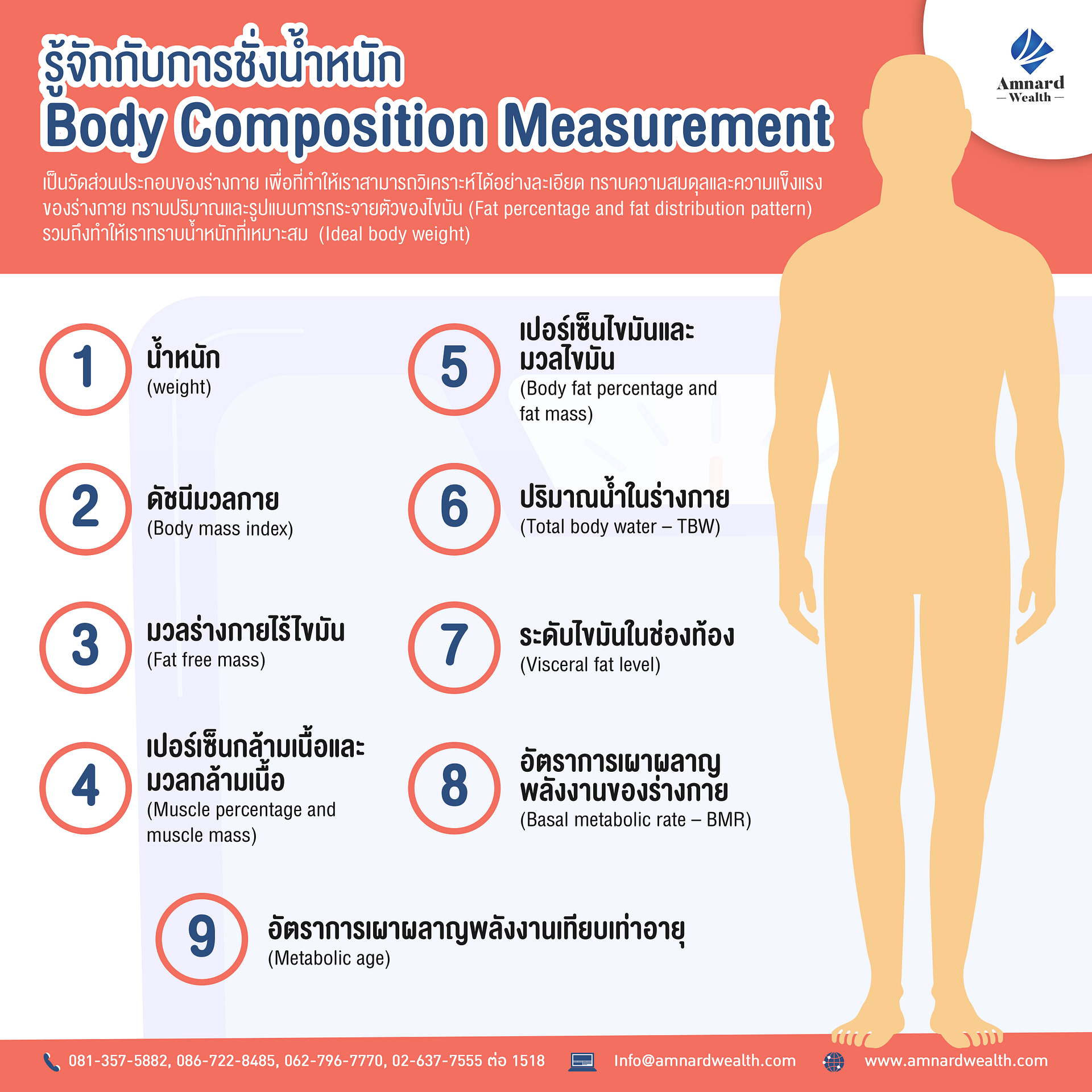มารู้จักกับเครื่องชั่งน้ำหนัก Body Composition Measurement - Amnard Wealth